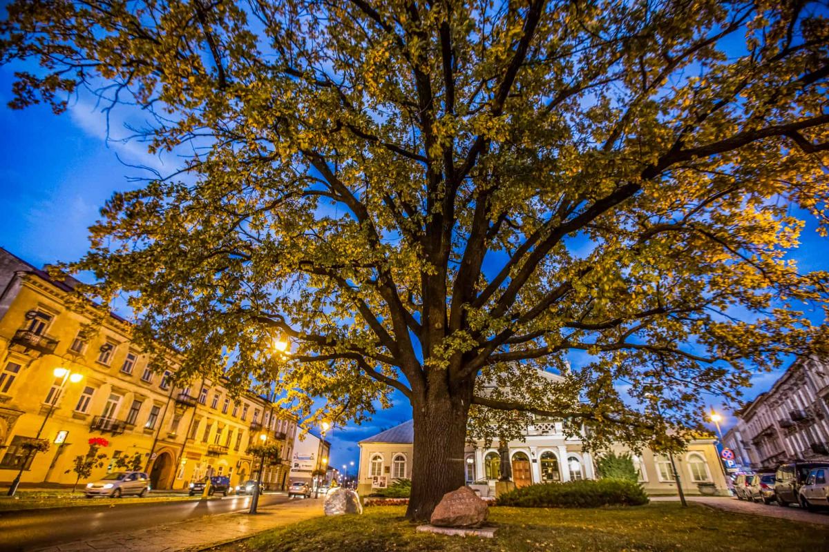 Resursa obywatelska - Radom