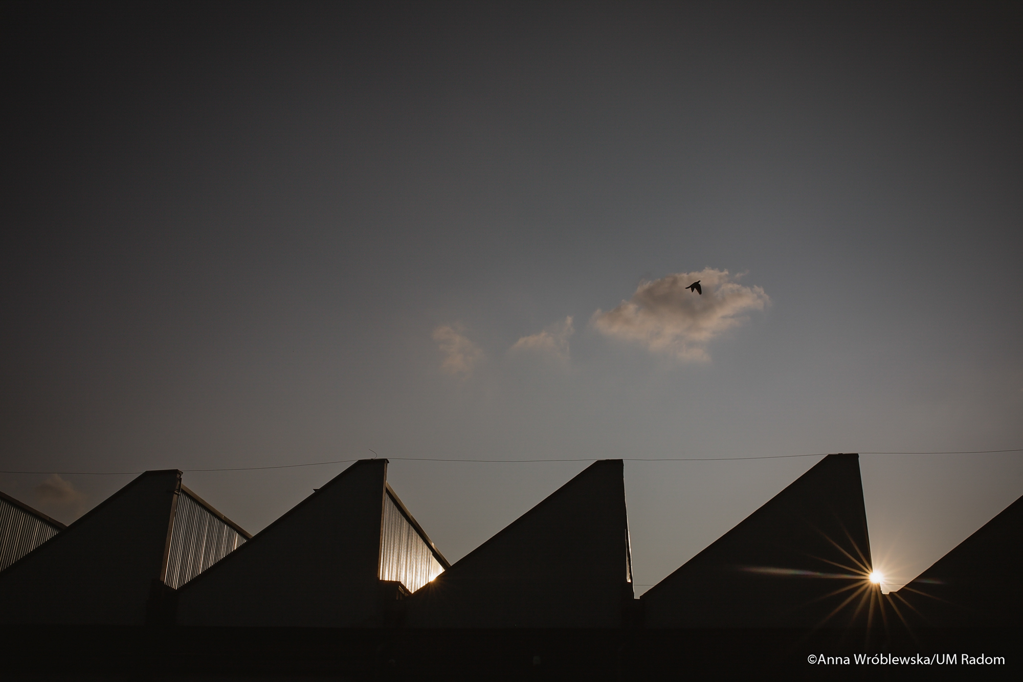 Weapon factory and vis gun - Radom